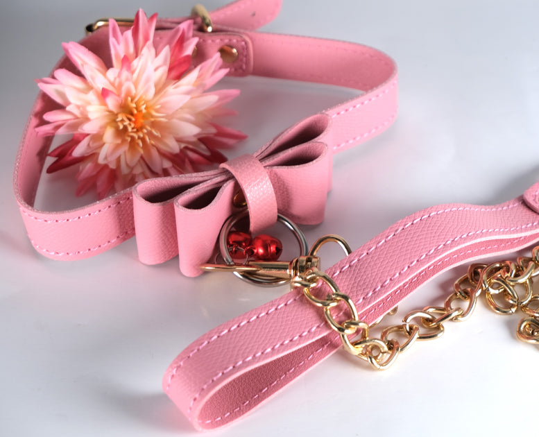 Play Collar – LoveOrigin