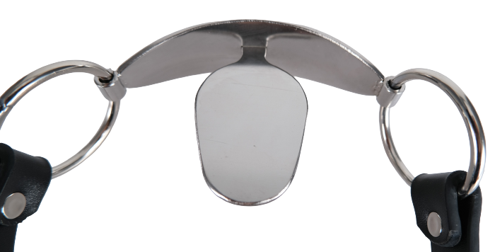 Steel Mouth Gag Tongue Depressor Gag Lockable Bondage Restraint Gag ...